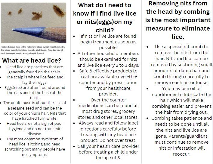Head Lice What Parents Need To Know Kimball Public Schools Head Lice What Parents Need To Know Kimball Public Schools
